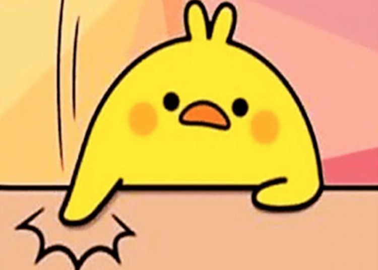 Los Mejores Memes de Diseño del Pollito “SE TENÍA QUE DECIR Y SE DIJO ...