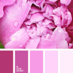 20 hermosas paletas de color para inspirarte – nosotros-los-diseñadores